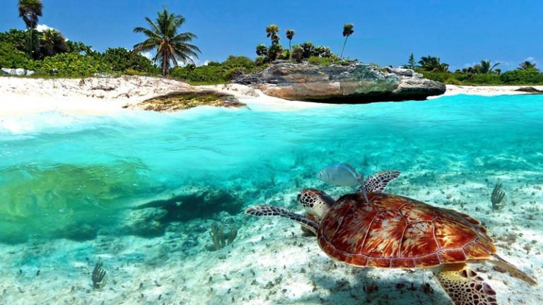 Les plus belles plages du Mexique